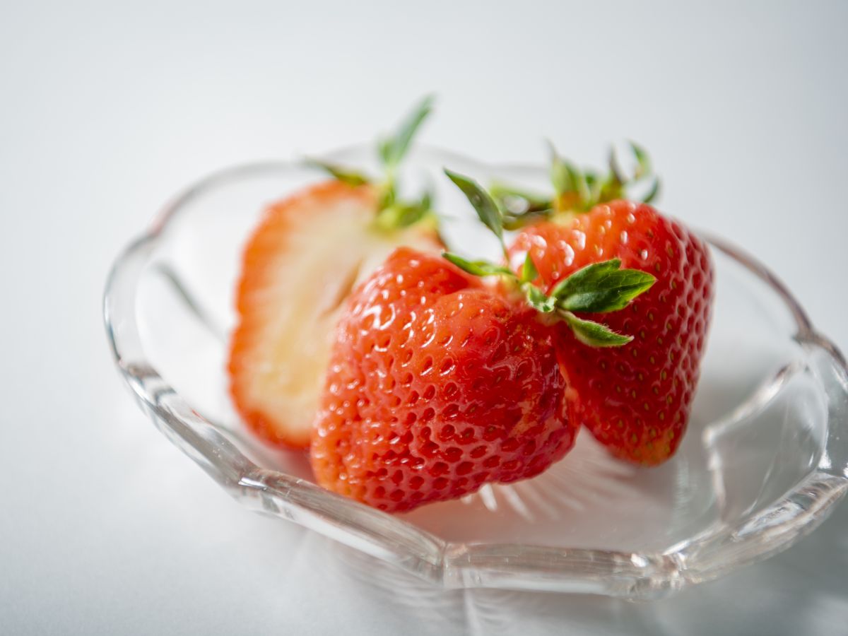 株式会社HOLUS、株式会社ホーブと試験栽培契約を締結 | 「生産者が正当に評価される社会」を目指す株式会社HOLUS